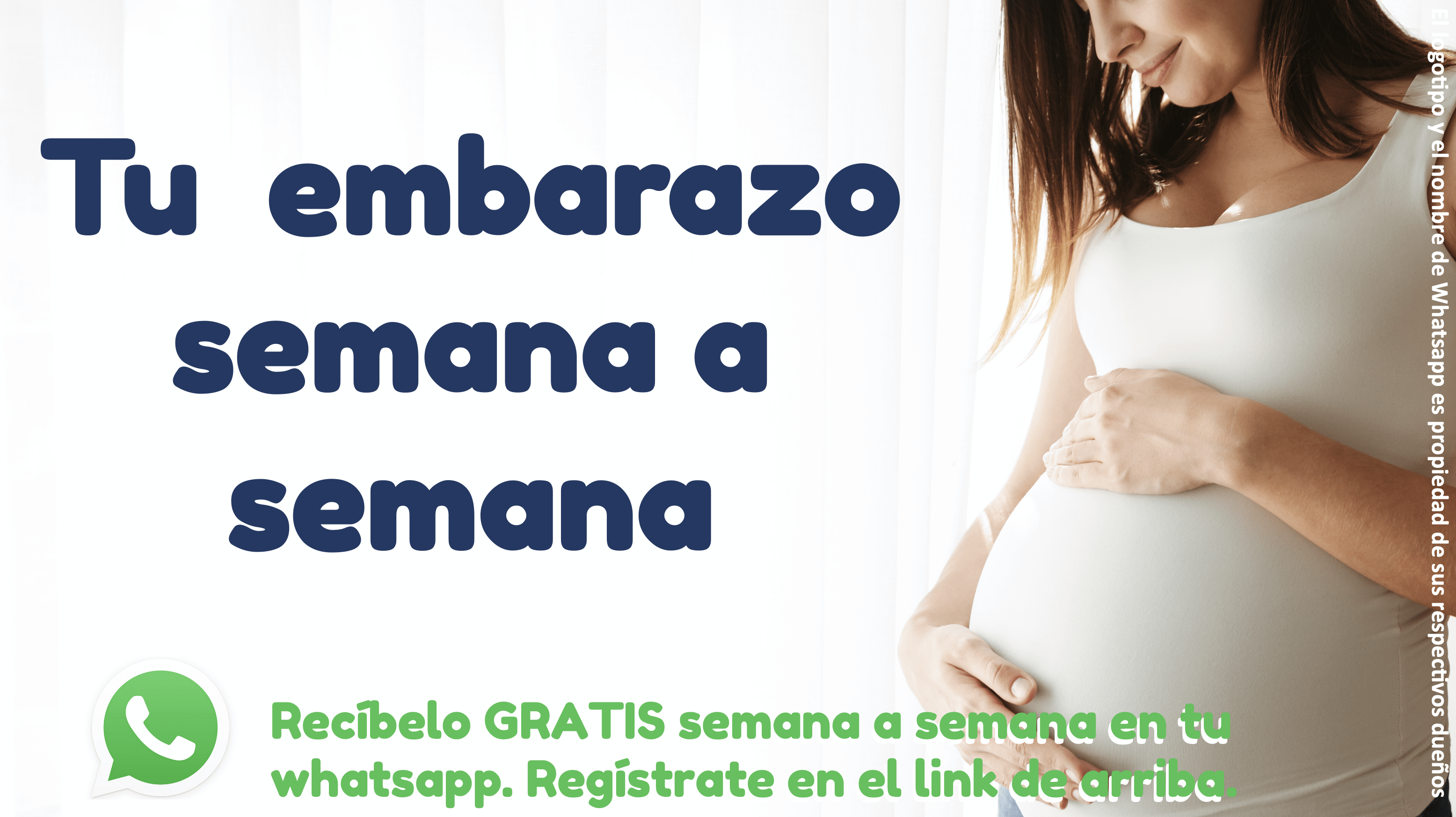 Tu embarazo semana a semana – MomMom