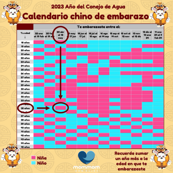 Calendario chino de embarazo 2023 ¿Niño o niña? Descúbrelo – MomMom
