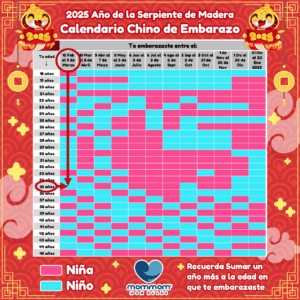 Aquí está el Calendario chino de embarazo 2025 ¿Niño o niña? – MomMom
